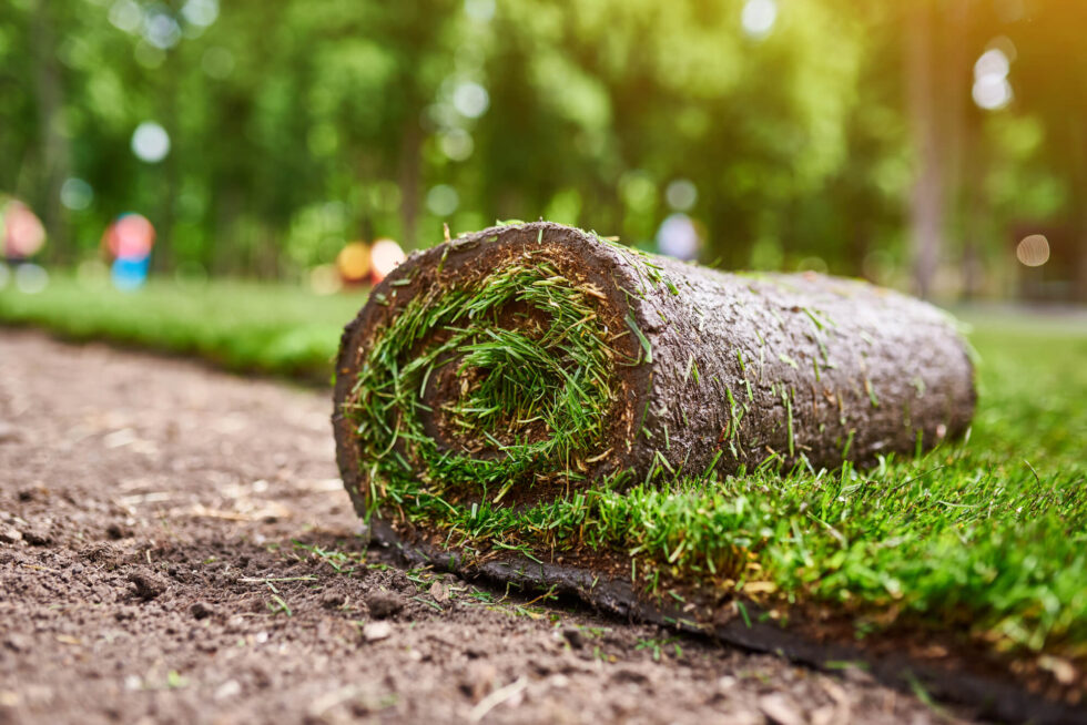 The Complete Guide to Artificial Turf Installation Franchise ...